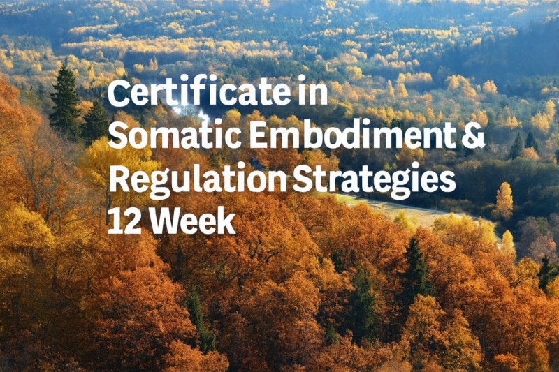 Lindathai | Certificate in Somatic Embodiment & Regulation Strategies…